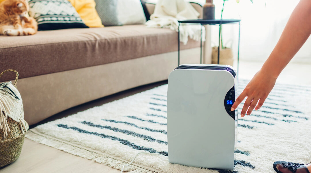 How a Home Humidifier Works with a Tankless Water Heater - Tankless ...